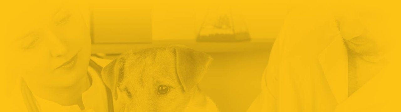 The Best Autoclaves for Use in Veterinary Medicine