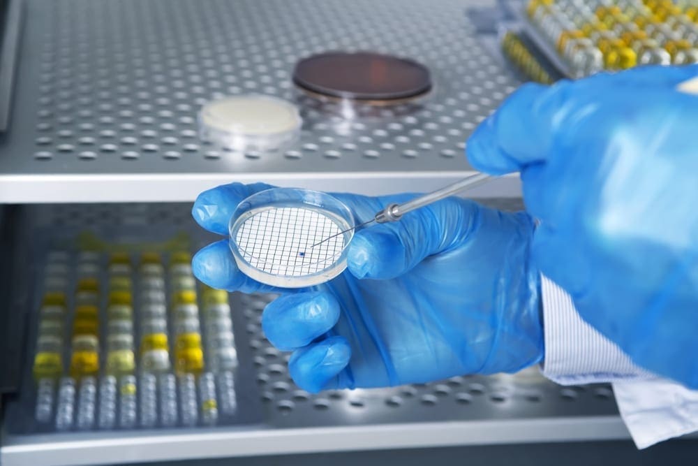 Laboratory Autoclaves: Integral to Modern Research