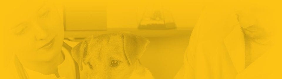 Instruments Sterilization | Wrapped & Unwrapped | Priorclave